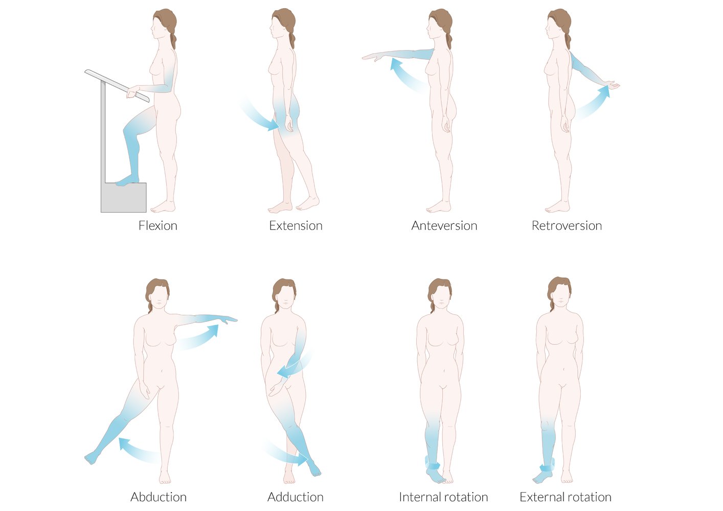 Varsaymak Karde lik De ersiz Medical Position Terms Travel training