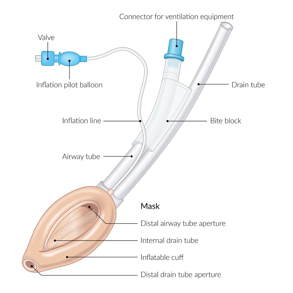 Benumof s Airway Management 9780323022330 