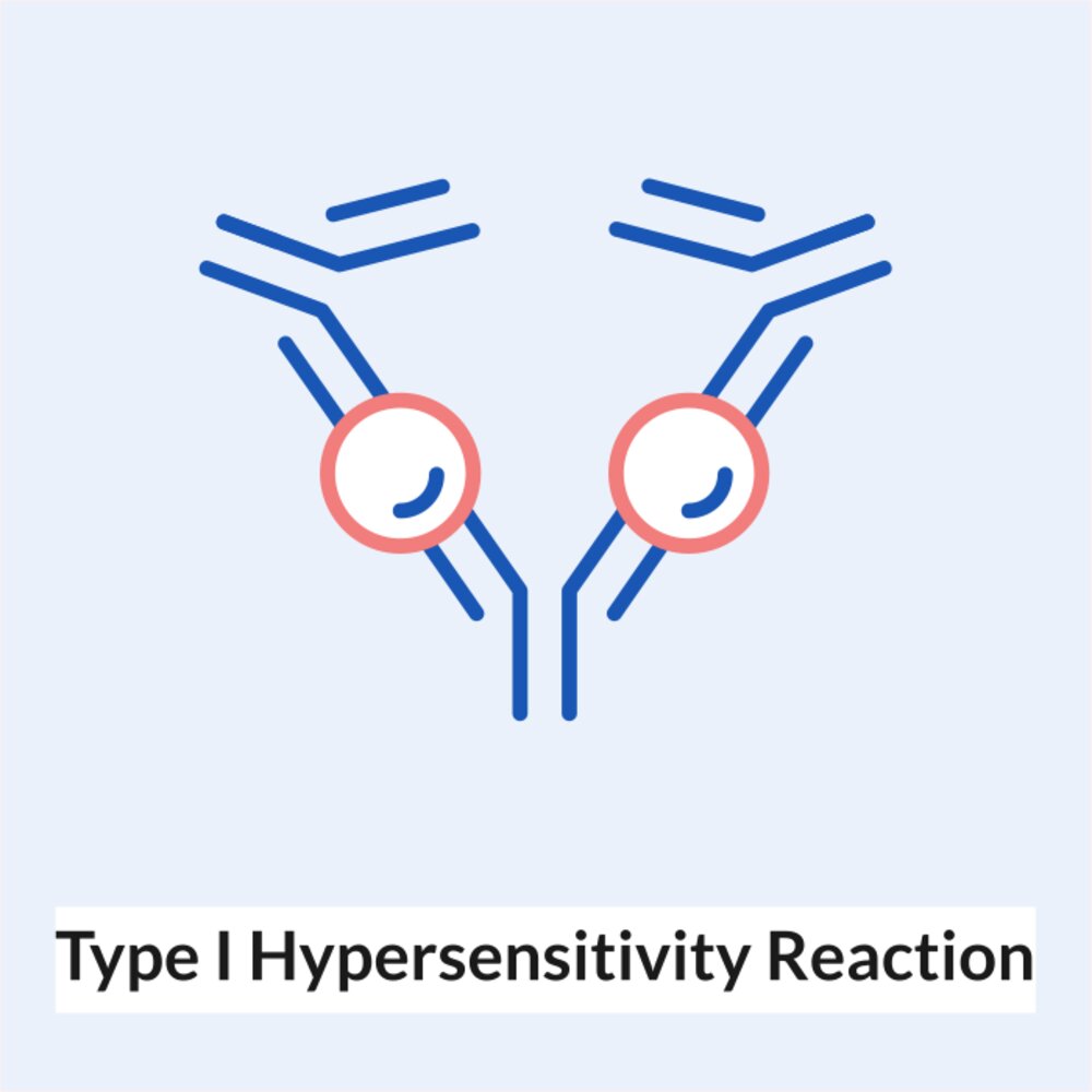 Hypersensitivity Reactions Immunopaedia 800x600