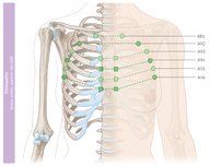 Posterior rib tender points