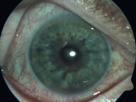 Management [1] [2] [5]