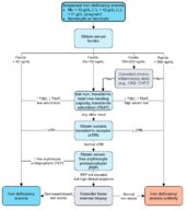 Initial investigations