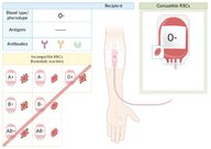 Extended RBC antigen systems