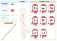 Extended RBC antigen systems