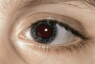 Management [1] [2] [5]