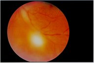 Management [1] [2] [5]