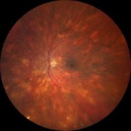 Management [1] [2] [5]