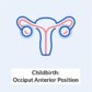 Fetal attitude